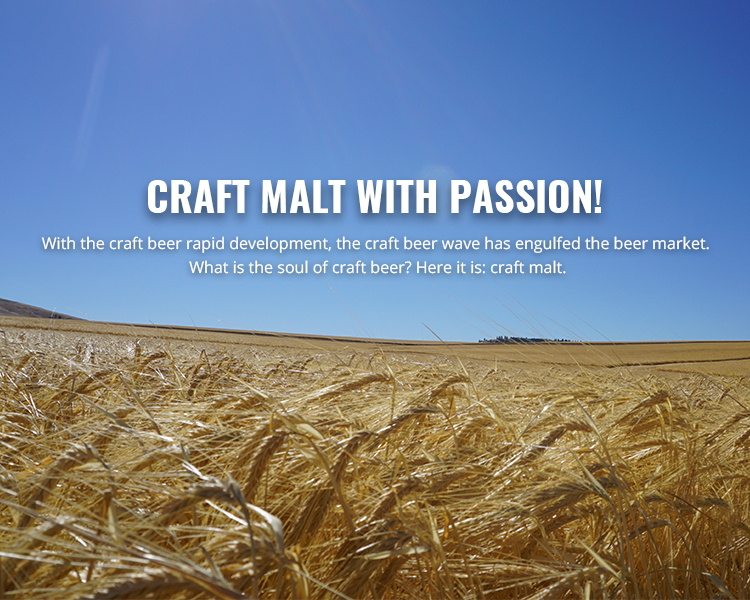 Micro Malting|Tank Malting|Drum Malting – Laizhou Yingtai Machinery Co ...