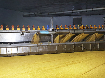 Micro Malting|Tank Malting|Drum Malting – Laizhou Yingtai Machinery Co ...